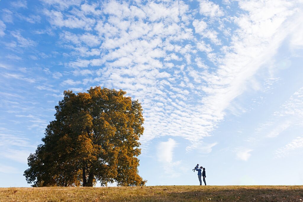 Best of Boston Newborn and Family Photography Cara Soulia